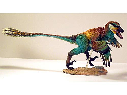 Linheraptor - Beasts of the Mesozoic: Amazon.com: Industrial & Scientific