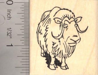 Amazon.com: Muskox (Musk Ox) Rubber Stamp : Arts, Crafts & Sewing