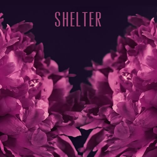 Play Shelter by Margot Todd on Amazon Music