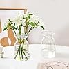 Amazon.com: Gute Glass Vases for Decor, Modern Decorative Flower Vase ...