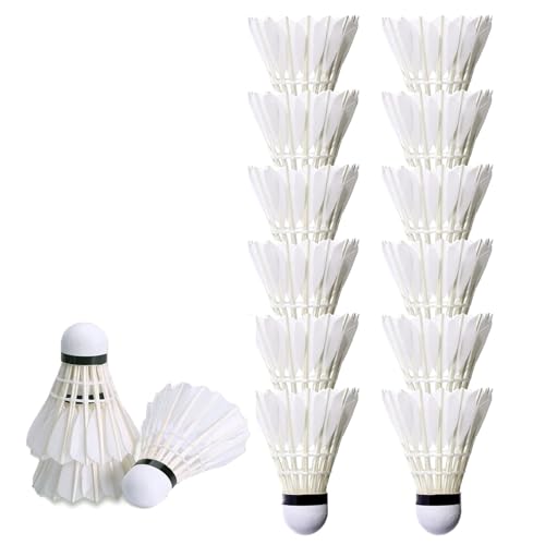 amazon.ae Best Sellers: The best items in Badminton Shuttlecocks based ...