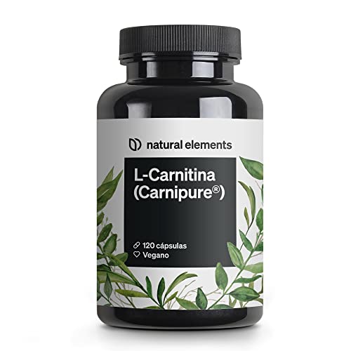 L-Carnitina Lidl Opiniones: ¿Realmente funciona? - Mi Hogar