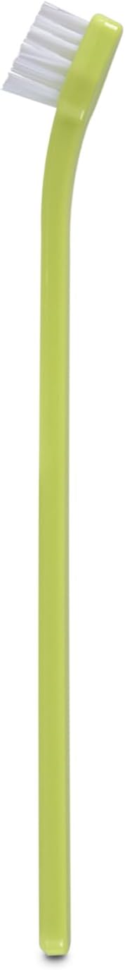 Amazon.com: BUYBYLOV Turtle Brush, Turtle Tank Accessories, Turtle ...