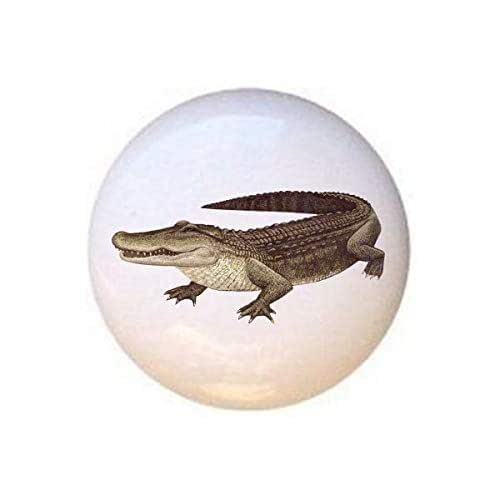Amazon.com: Alligators Crocodiles Reptiles DECORATIVE Ceramic Dresser ...