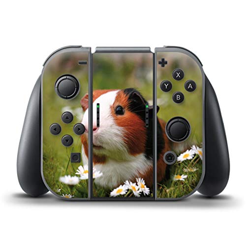 Hamster Meerschweinchen – Die 15 besten Produkte im Vergleich ...