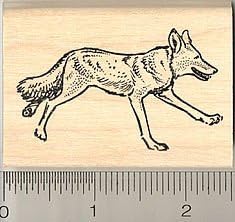 Amazon.com: Coyote Running Rubber Stamp : Arts, Crafts & Sewing