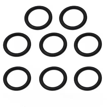Amazon.com: for Intex 10745 P6029 O-Ring Kit Rubber Washers, Seal for ...