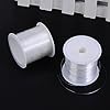 2 Packs 0.4 mm Clear Nylon Wire Non-stretchy Beading Threads for ...