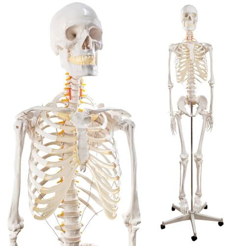 15 Skeleton Activities for Kids and Parties - Christine Britton