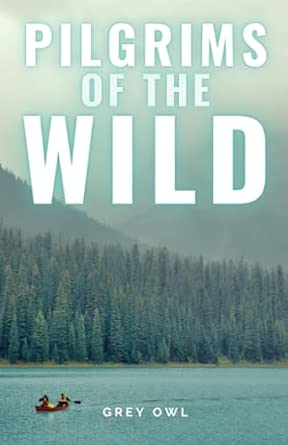 Pilgrims of the Wild: Owl, Grey: 9791222411453: Amazon.com: Books