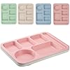 Amazon.com | 4Pcs Unbreakable Divided Plate,14inch Reusable Plastic ...