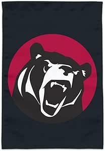 Amazon.com : Lenoir-Rhyne University Secondary Logo Garden Yard Flag ...