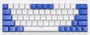 ZA63 ZASM63 Rusiann Mechanical Keyboard PBT RGB Hot Swappable 63 Keys ...
