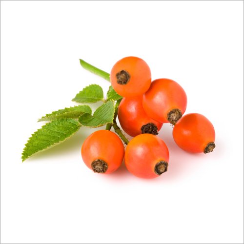 Carrier Oli: Rape Seed Oil, 1 L : Amazon.in: Health & Personal Care