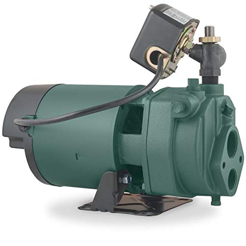 Zoeller 1-HP Cast Iron Deep Well Convertible Jet Pump with 20-40 PSI ...