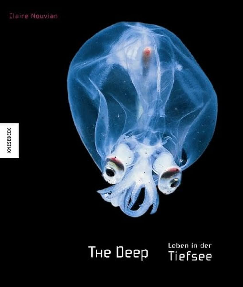Lebensformen Der Tiefsee Great Barrier Reef: Forscher Entdecken Neue