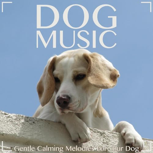 Play Dog Music: Gentle Calming Melodies for Your Dog by Music For Dogs ...