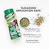 Amazon.com : Dynamite 605951 All Purpose Indoor and Outdoor Plant Food ...