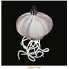 WAC Lighting G535-DIC Crystal QP Decorative Glass Pendant - Ceiling ...