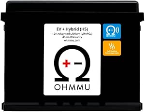 Amazon.com: Ohmmu G1240GV60-BH, 12V Lithium Battery for Genesis GV60 ...