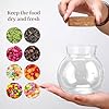 Amazon.com: DNIENKGE 17oz Spherical Glass Jar with Cork Lid Airtight ...