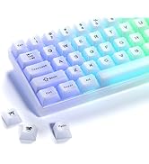 Amazon.com: HITIME x XVX Spider Web Keycaps 60 75 100 Percent - Shine ...