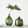 Amazon.com: Creative Co-Op Large Glass Bud Vase, Green : Home & Kitchen