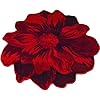 Amazon.com: Flower Rug 2ft Round Area Rugs Cute Plush Flower Shaped Rug ...