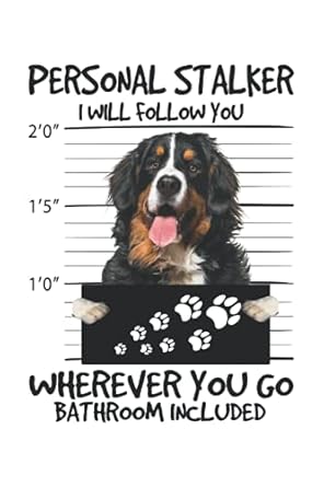 Berner Sennen Kalender 2023: Berner Sennen: Wochenplaner 6x9 Zoll mit ...