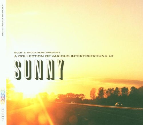 Amazon.com: A Collection of Various Interpretations of Sunny: CDs & Vinyl