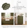 Amazon.com: ALL-IN-ONE Paint by Heirloom Traditions, Crete (Olive Green ...