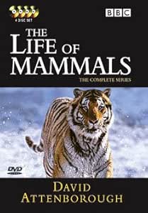 David Attenborough: The Life Of Mammals - The Complete Series [DVD ...