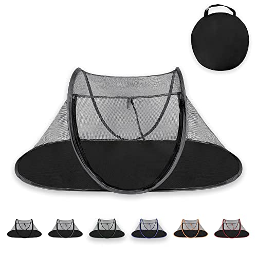 10 Must-Have Screened Cat Enclosures for Your Feline's Outdoor ...