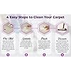Amazon.com: Capture Carpet Total Care Kit 100 - Home Couch and ...