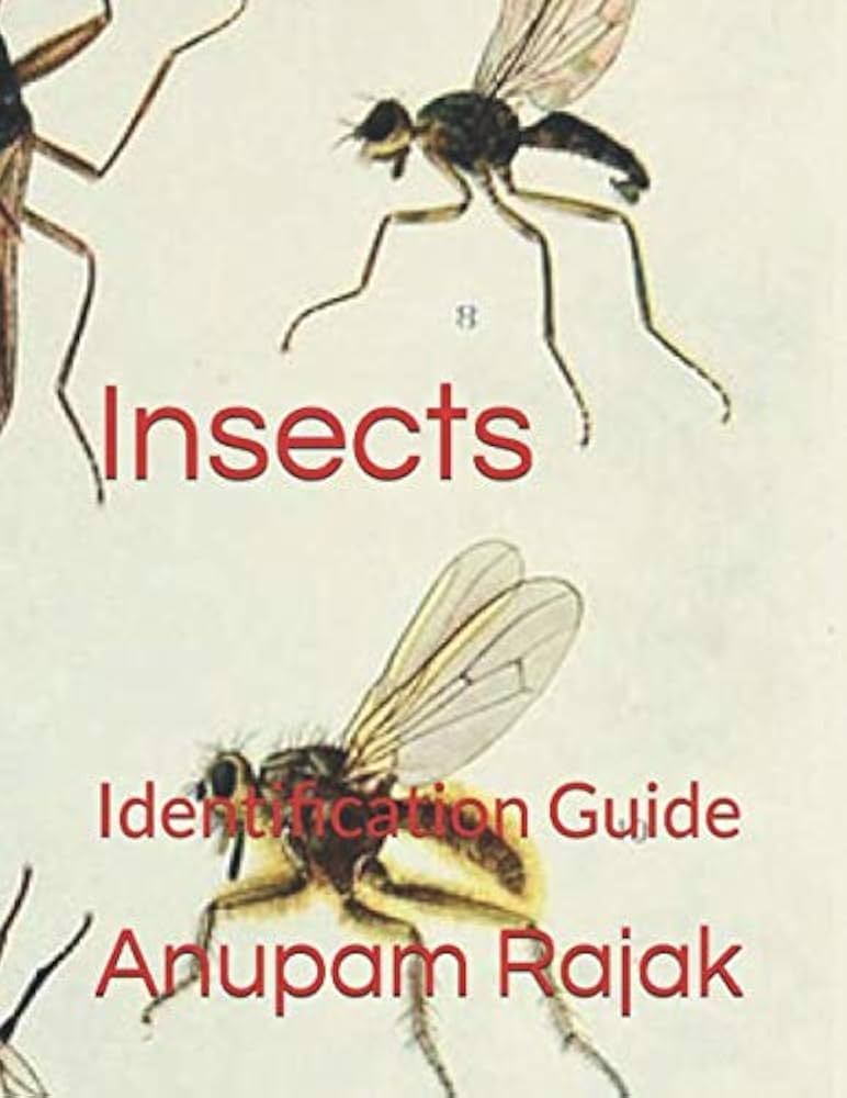 A Perfect Guide On How To Identify Flying Insects