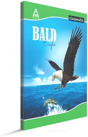 Classmate Notebook - Single Line, 172 Pages, 240 mm x 180 mm - Pack Of ...