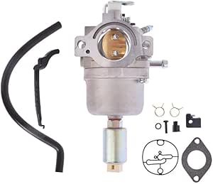 Amazon.com: Carburetor For Briggs & Stratton 795366 294777 602703 ...