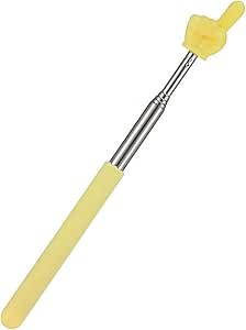 Amazon.com: Retractable Teacher Pointer for Classroom Kids Reading,Mini ...