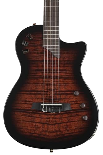 Best Electric Nylon String Guitar: A Guide to Finding Your Perfect ...