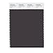 Amazon.com: PANTONE Smart 19-3903X Color Swatch Card, Shale : Home ...