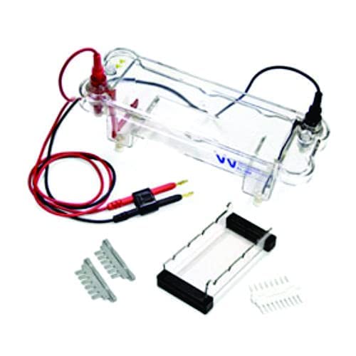 AjantaExports Electrophoresis Vertical Mini-Gel Gel Electrophoresis ...