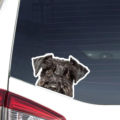 Amazon.com - Black Miniature Schnauzer Car Decal Sticker, Peeking ...