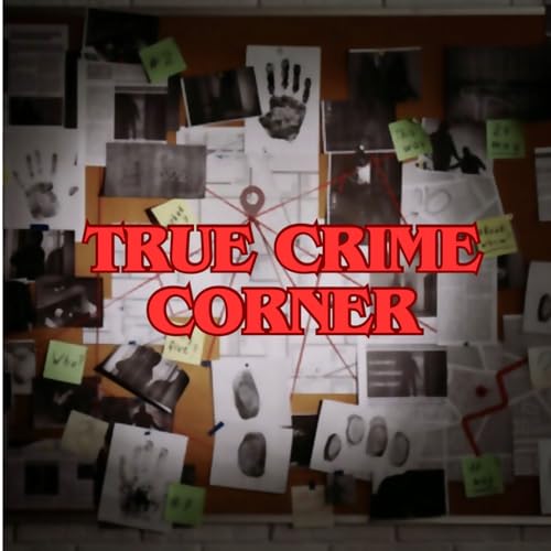 True Crime Corner : Amanda Willette: Amazon.in: Audible Books & Originals