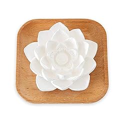 Amazon.com: Plant Therapy Passive Lotus Flower Aromatherapy Diffuser ...