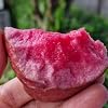 Native Earth Rare Thai Red Guava (Combo of 2 Plant) - Red Skin Red ...