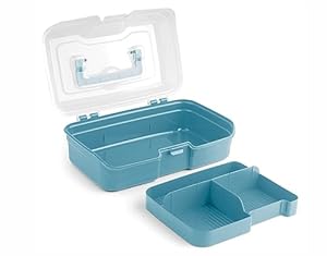 Buy Signoraware Rectangular Box Small, Multi Purpose Box, Multi Utility ...