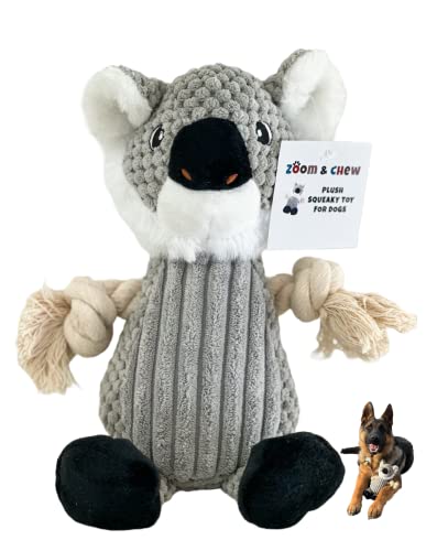 Unleash the Power of Pet Zoom with Our Top 10 Products Reviewed and ...