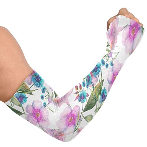 Amazon.com New Releases: The best-selling new & future releases in Carports