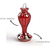 Stokes Select Blossom Glass Hummingbird Feeder with Four Feeding Ports ...