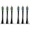Amazon.com : Replacement Toothbrush Brush Heads for Wagner & Stern and ...